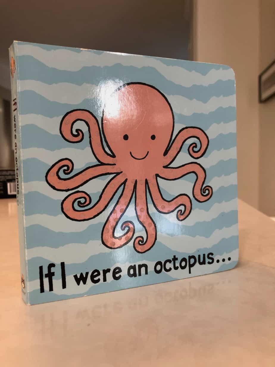 What is a board book 📚👶 Start the reading journey early!