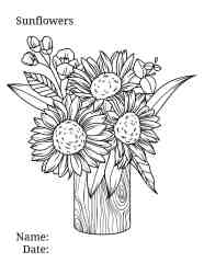 Sunflower Coloring Page Coloring Pages Sunflower Coloring Page Coloring Pages