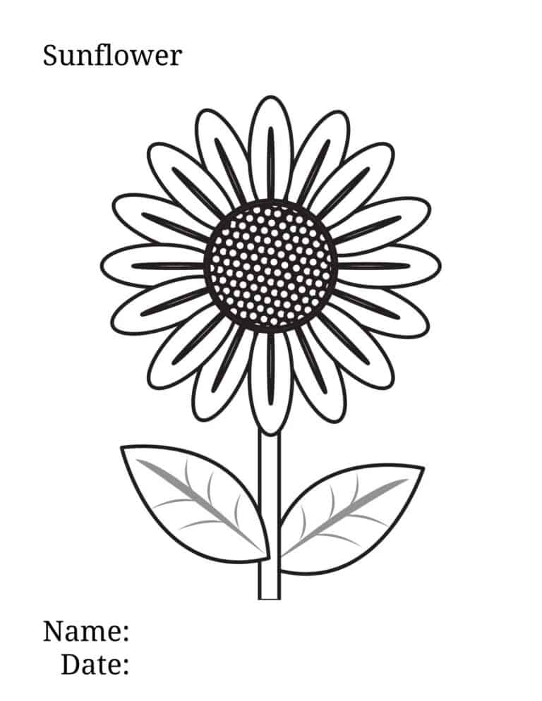 Sunflower coloring page 🌻 🎨 Brighten your day with floral fun!