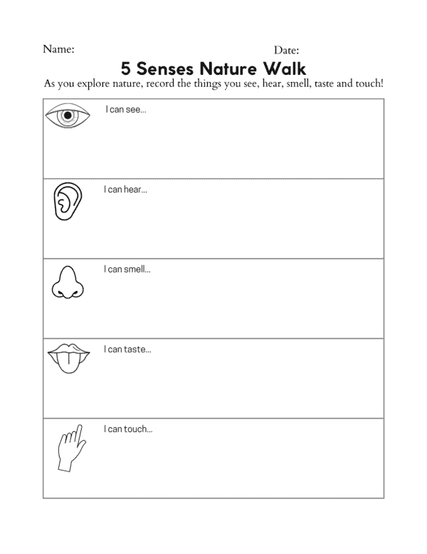 5 senses nature walk worksheet 🌿 🌸 outdoor learning