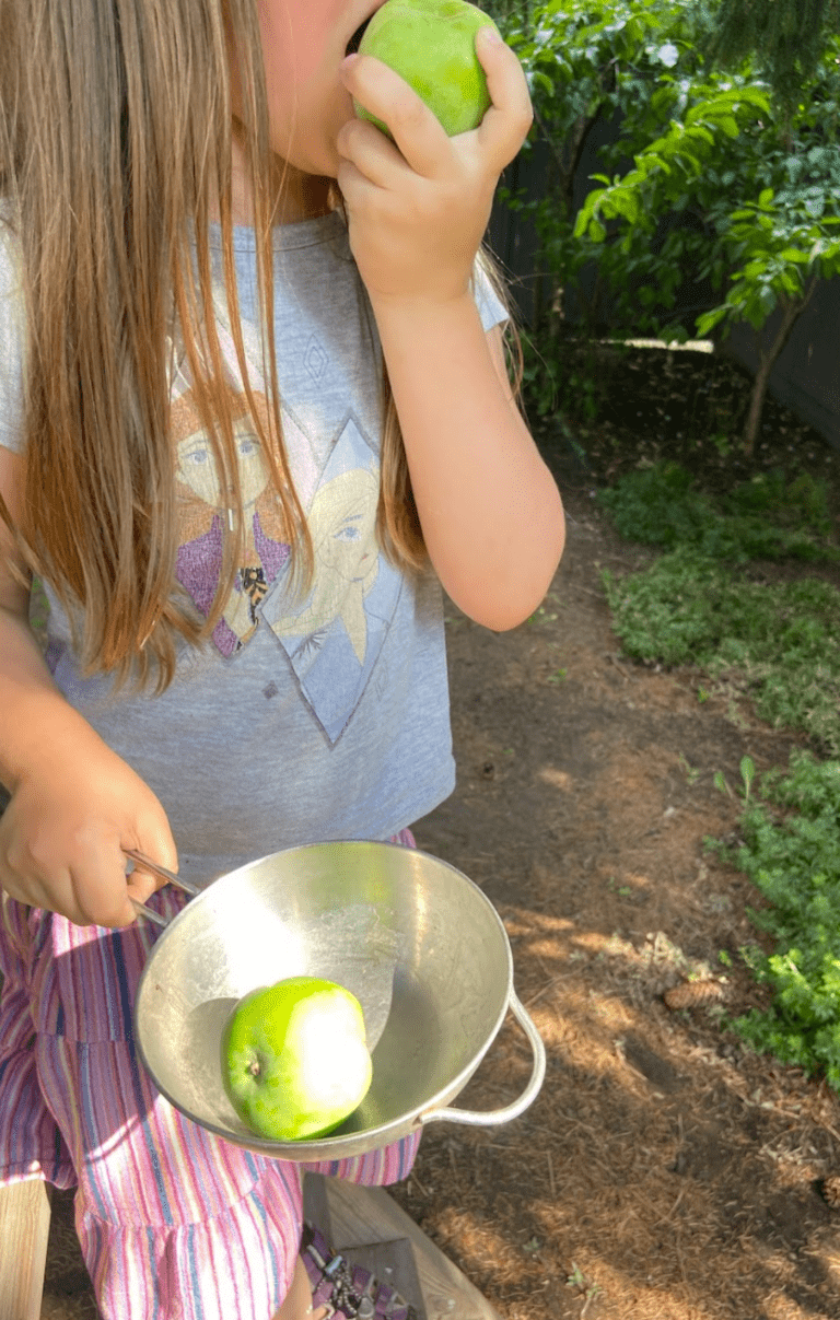 Montessori kitchen 🍳🌿 Fostering independence and culinary skills!