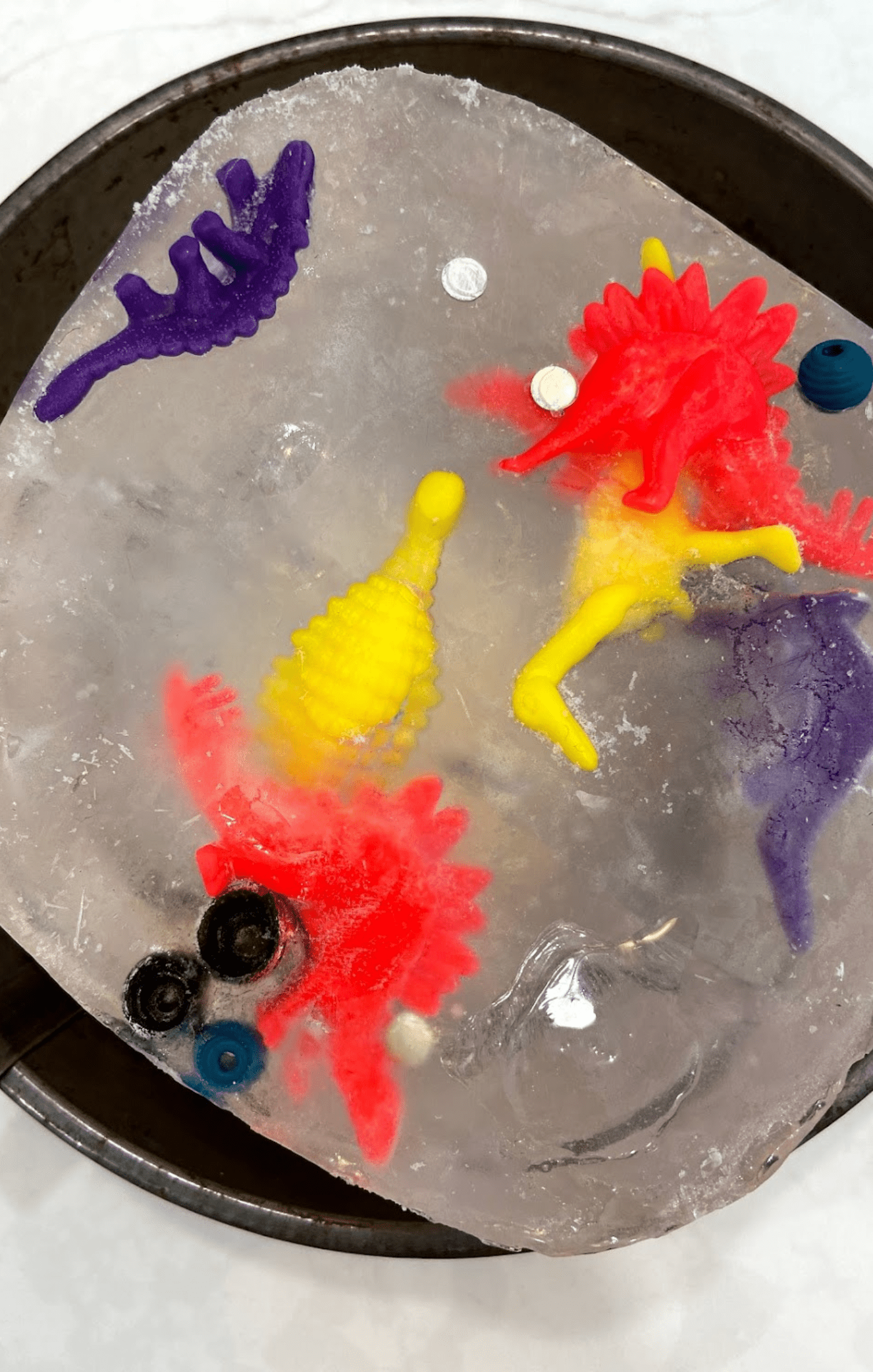 Ice excavation activity ️ ⛏️ Unlock the prehistoric adventure!