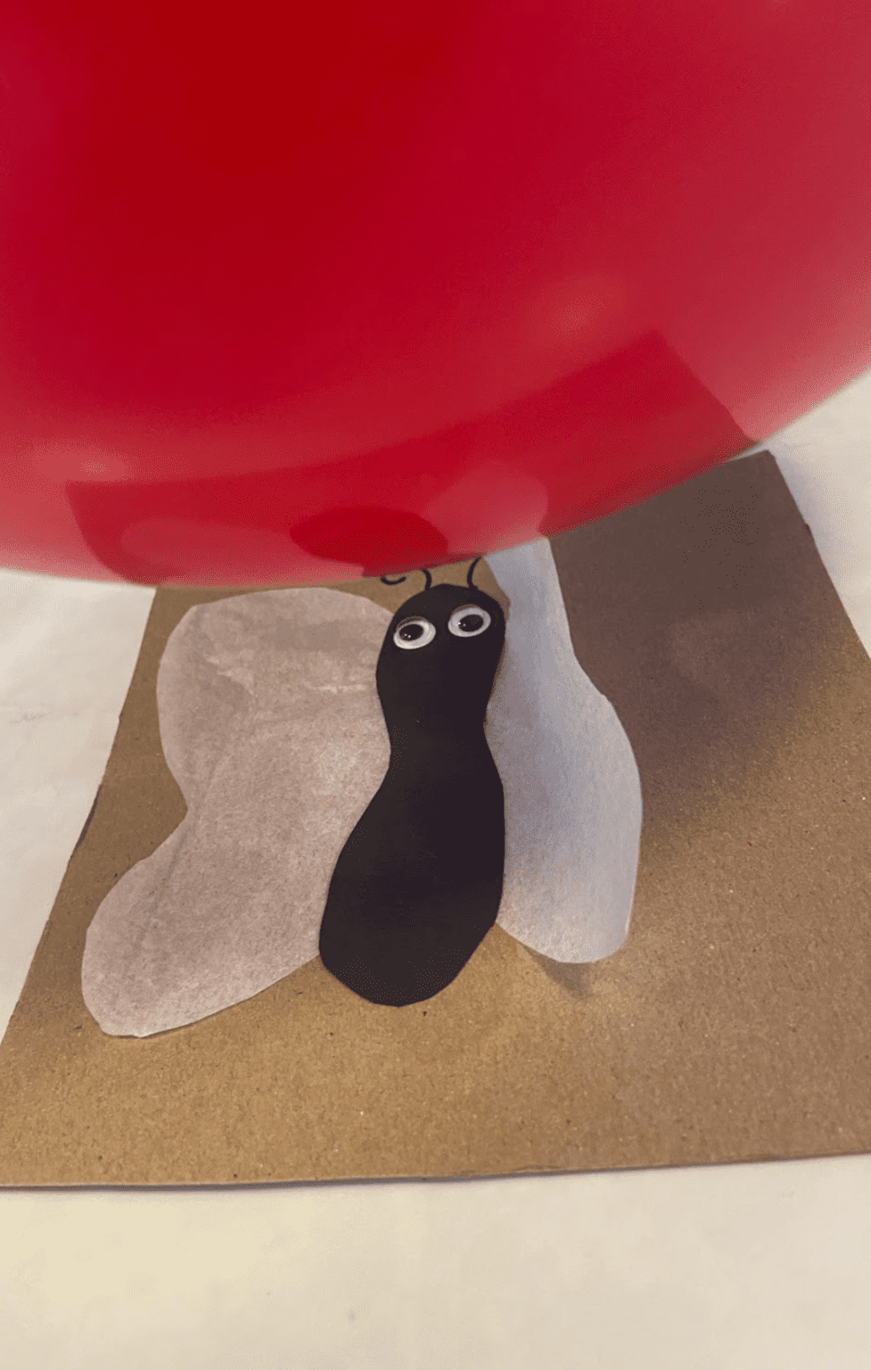 Static electricity experiment 💥⚡ Ignite curiosity with science!