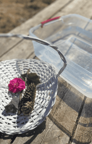 Sink or float experiment 💧🛠 Unlock the secrets of density and buoyancy!